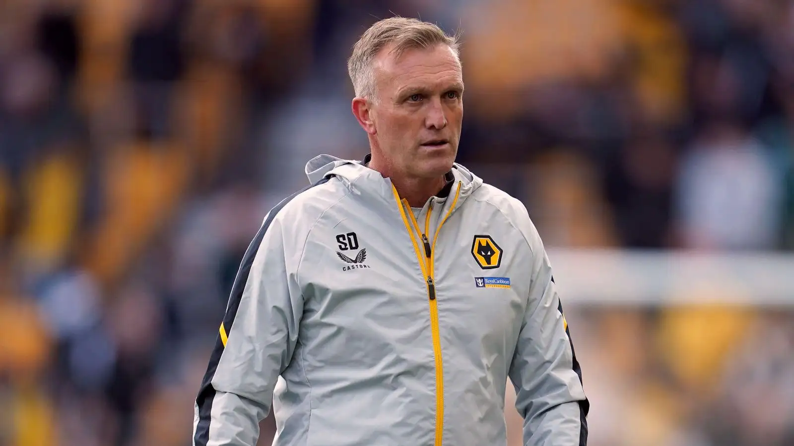 Wolves interim Davis still in the dark over new permanent boss amid ...