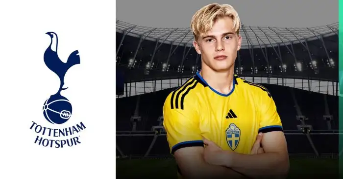 Lucas Bergvall: Newest Tottenham signing reveals Postecoglou promise ...