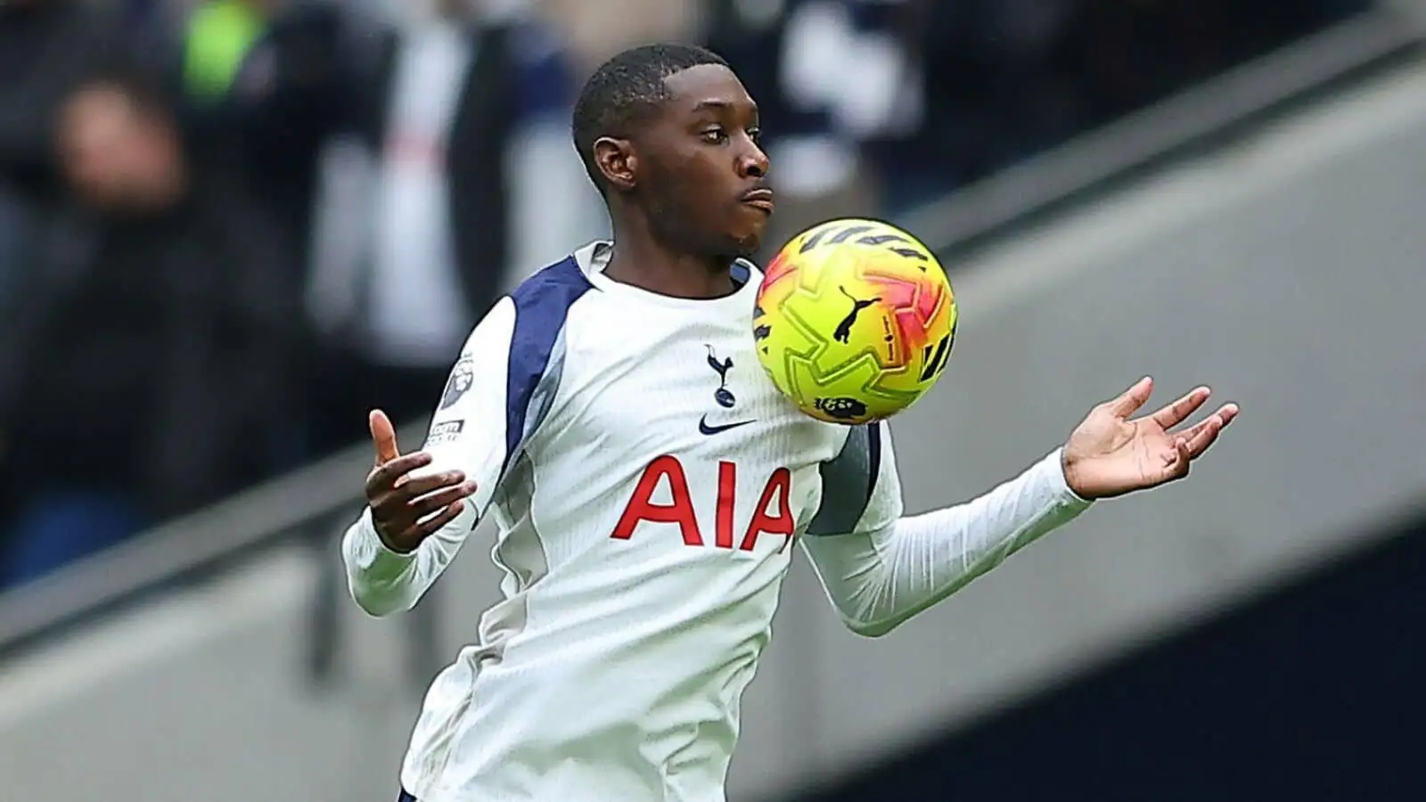 Randal Kolo Muani: Damning stats behind Tottenham axing at half time ...